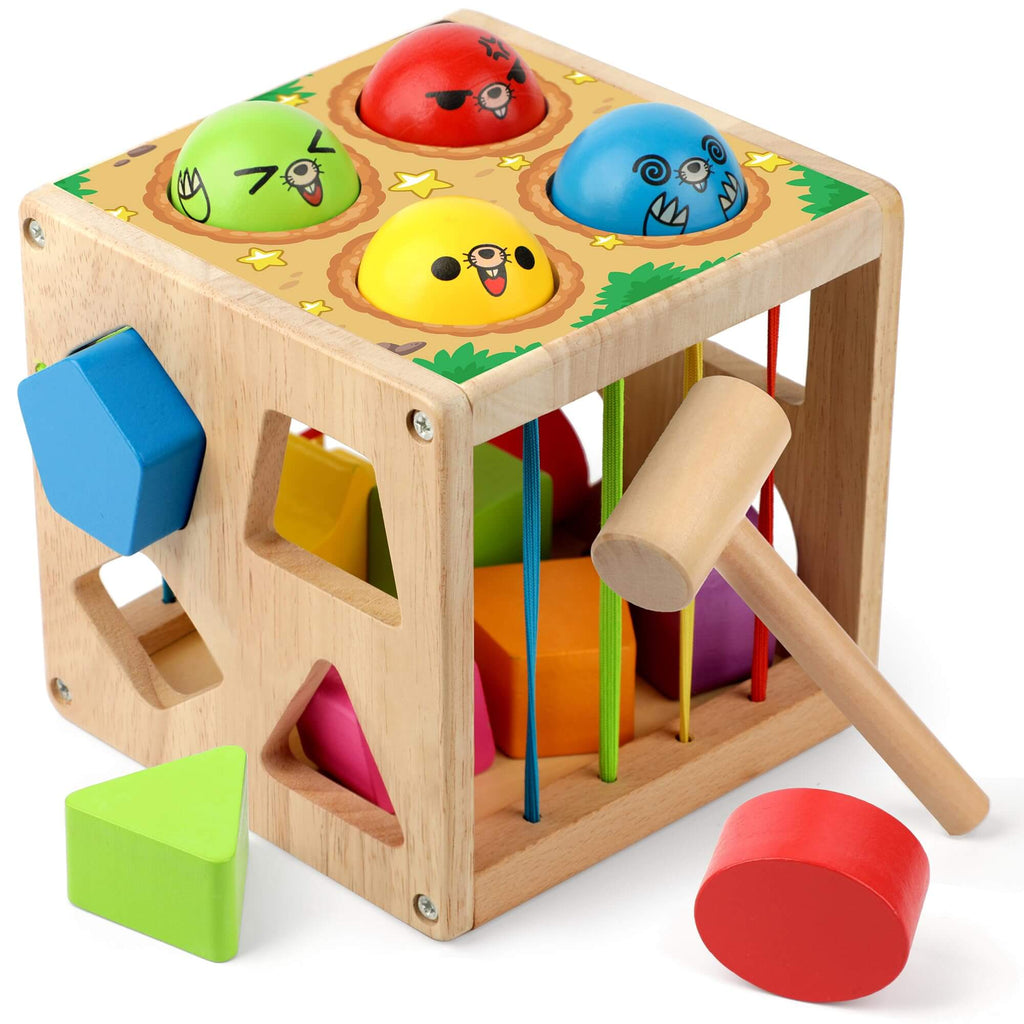 Mole Sorter Cube Wooden Shape Sorter – Coogam