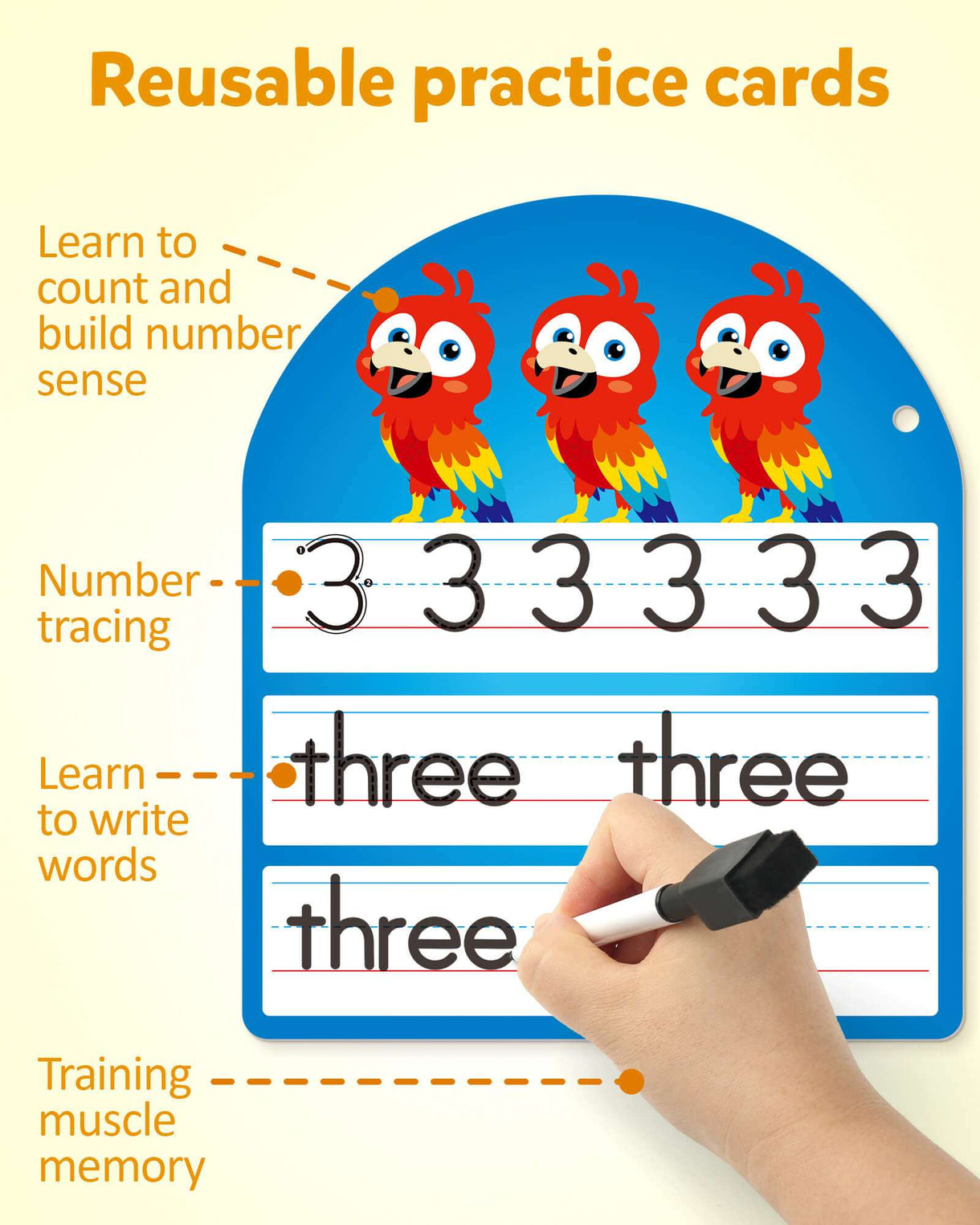 Double Sided Dry Erase ABC Letter Tracing Cards – Coogam